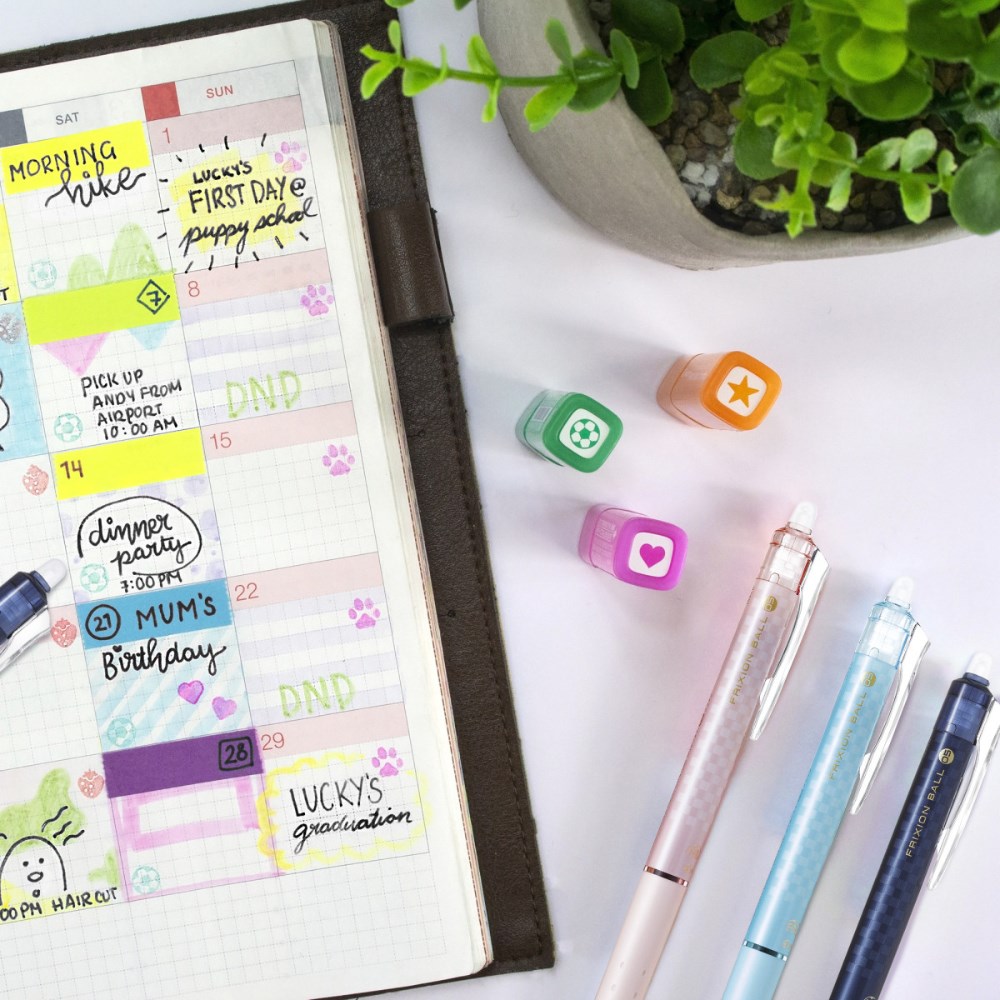 Pens - Pilot FriXion Design Erasable Retractable Gel Pen Extra Fine 0 ...